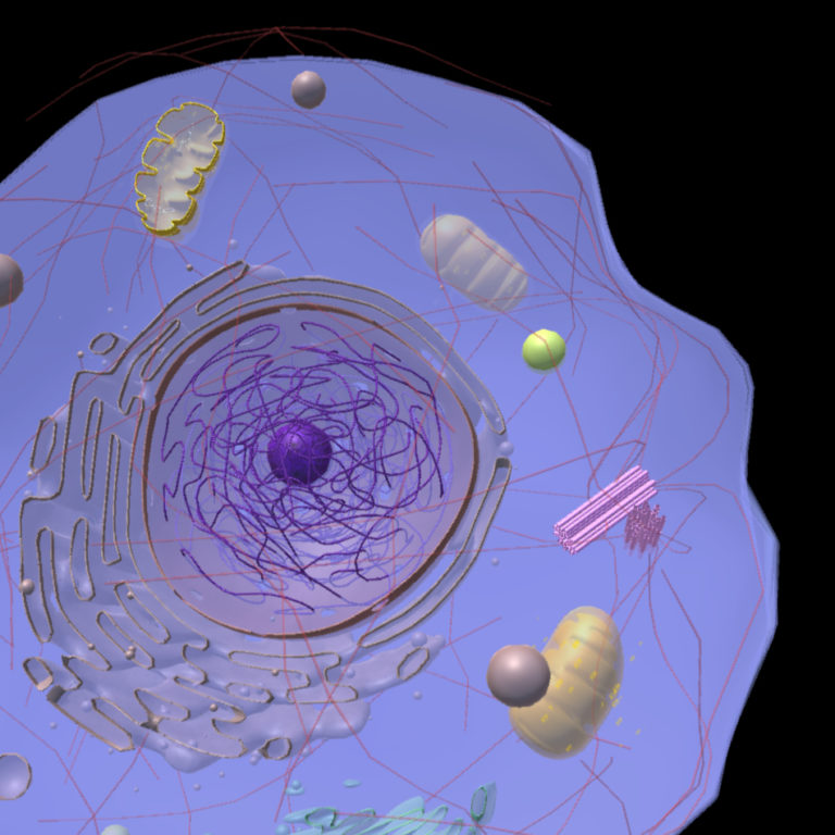 Célula Virtual 3D - Biosphera