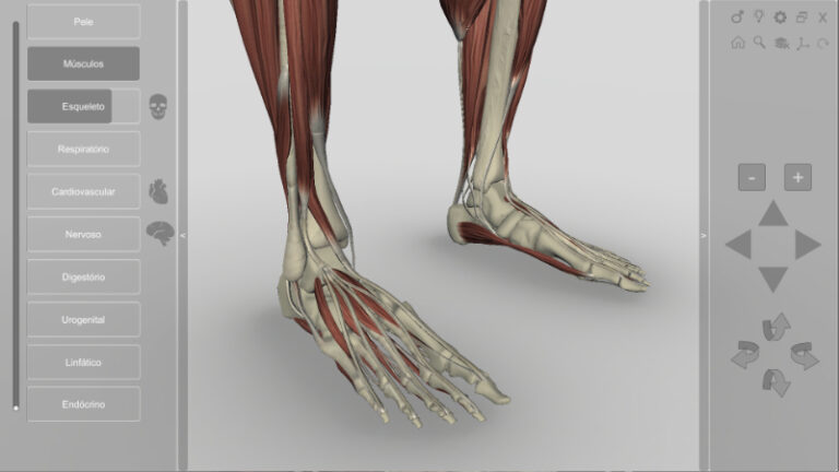 Introdução à Anatomia Humana 3D - Biosphera