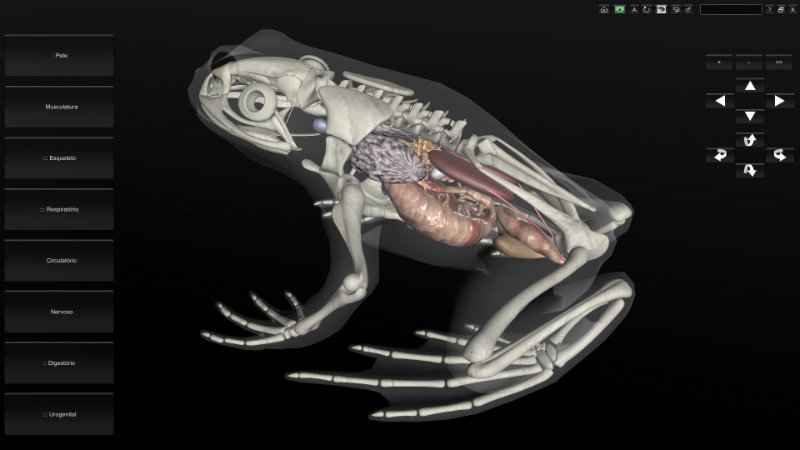 Anatomia do Sapo 3D - Biosphera