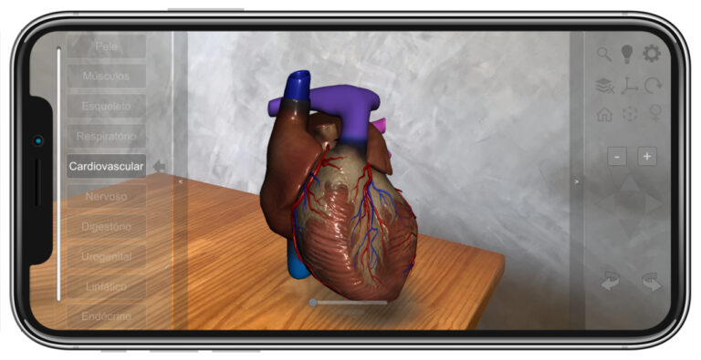 Tutorial: como utilizar o aplicativo Introdução à Anatomia Humana 3D ...